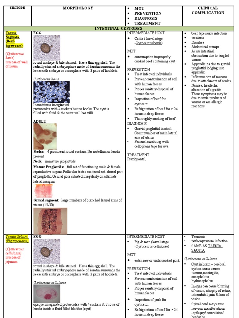 Helminth 5 | PDF | Diseases And Disorders | Health Sciences
