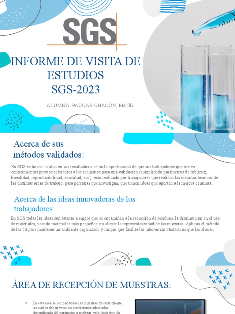Informe de Visita A Sgs | PDF | Laboratorios | Sustancias químicas