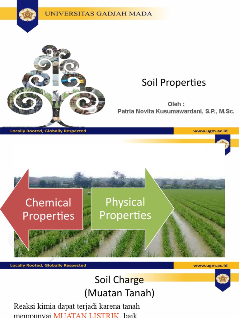 Soil Properties | PDF