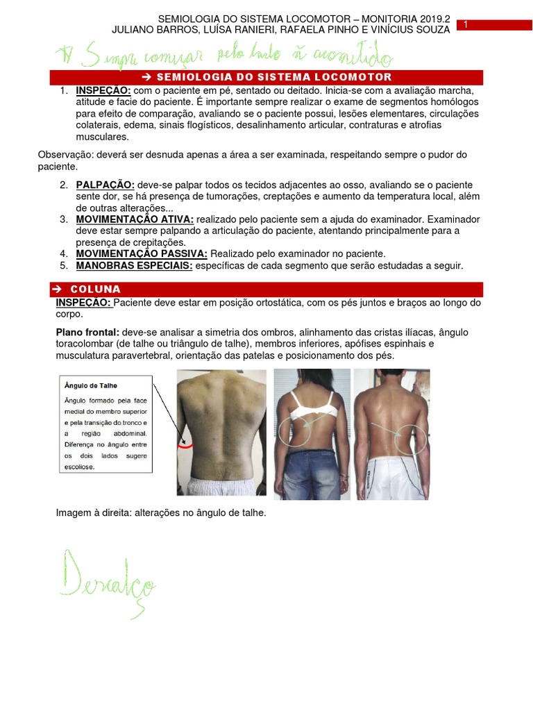 SEMIOLOGIA_DO_SISTEMA_LOCOMOTOR_MONITORIA_20192_230528_151140 | PDF ...