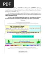 Dandelion Lessons | PDF