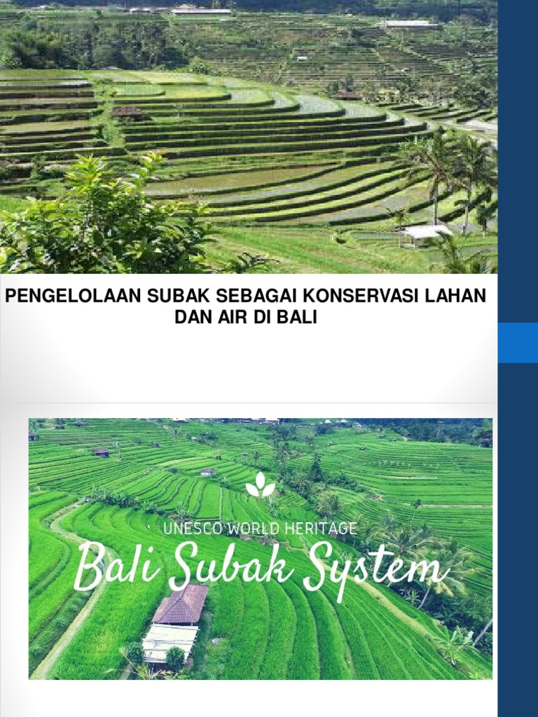 Minggu 11 - SUBAK SEBAGAI KONSERVASI LAHAN DAN AIR | PDF | Griya & Taman | Sains & Matematika