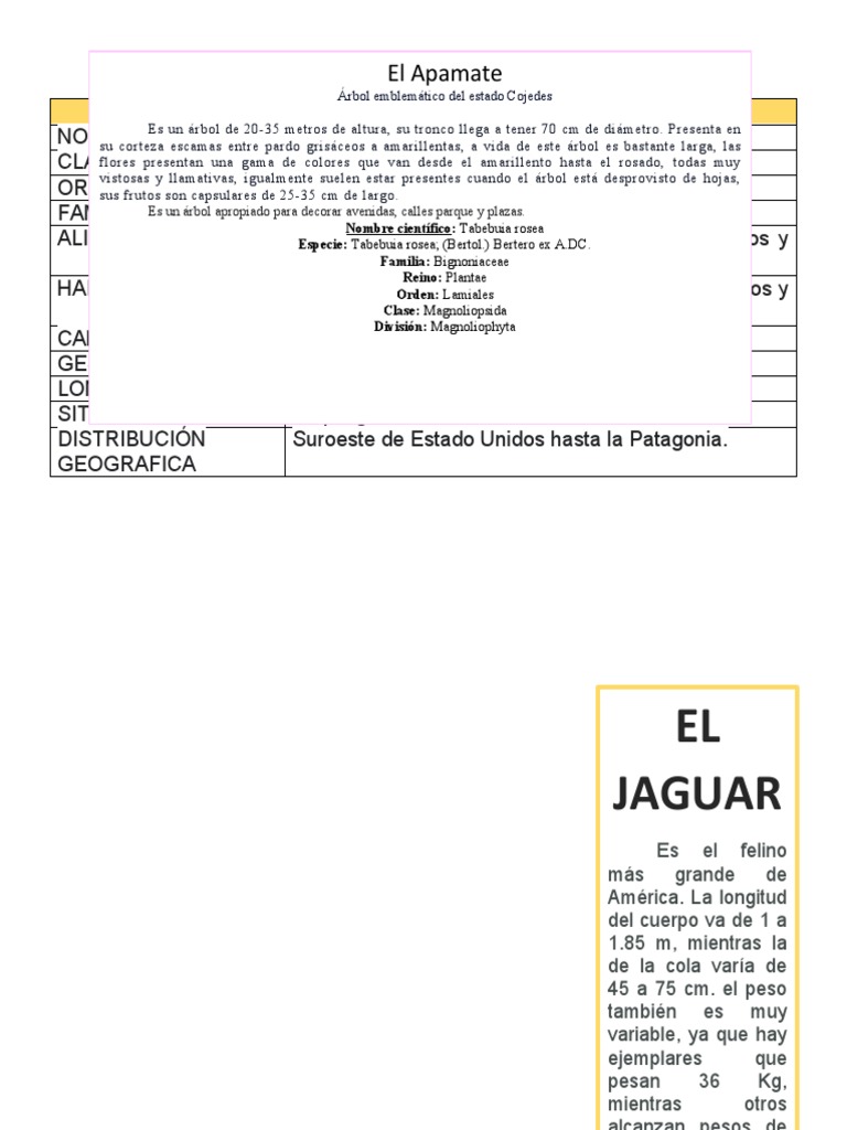 El Apamate | PDF | Organismos