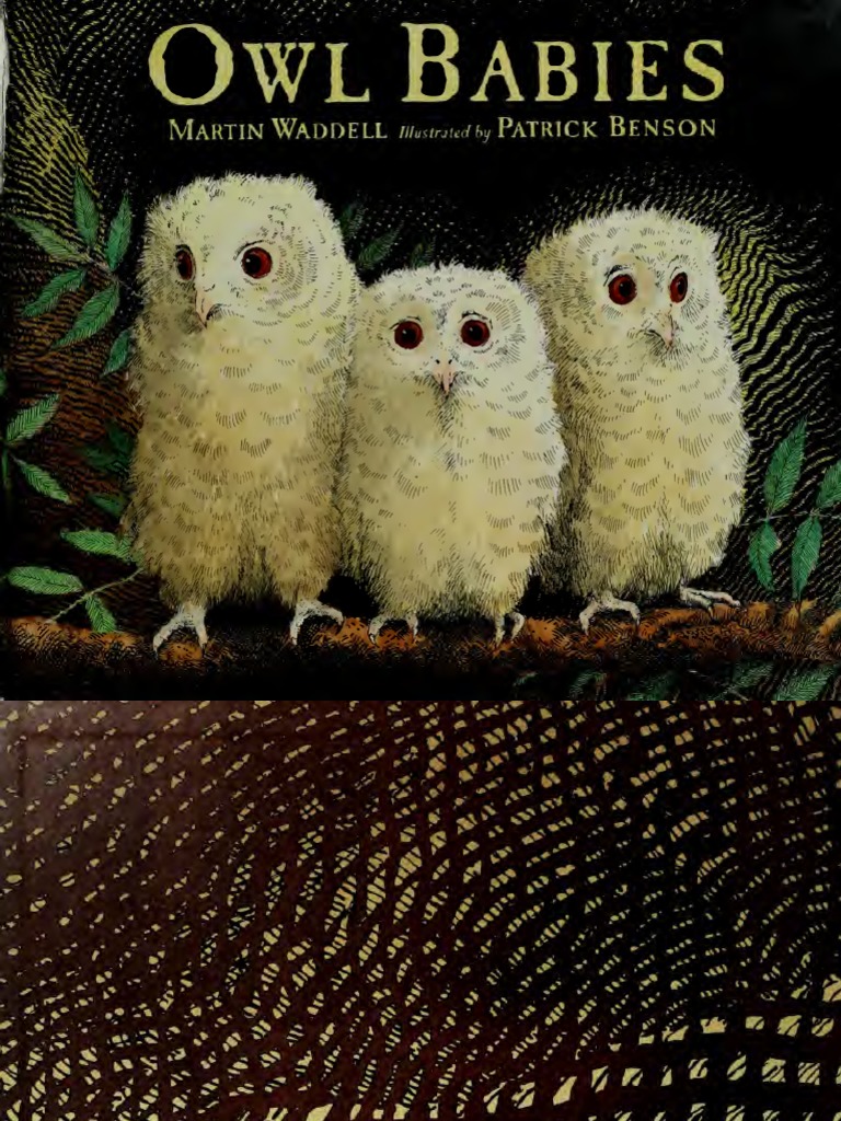 Owl Babies - Waddell, Martin Benson, Patrick, Ill | PDF | Birds Of Prey