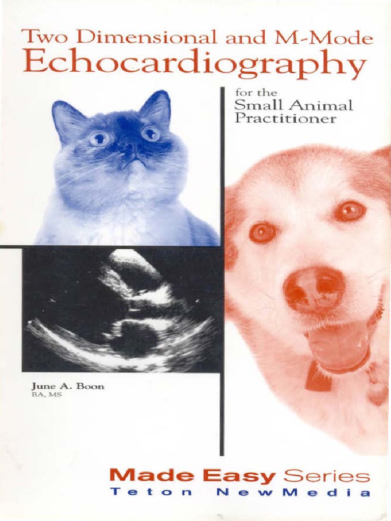 Two Dimensional and M-Mode Echocardiography - Boon | PDF | Heart Valve | Ventricle (Heart)
