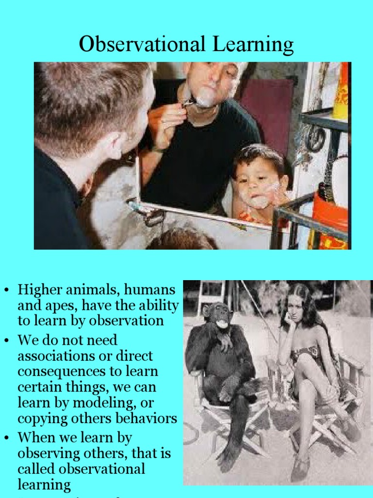 Observational Learning Animals