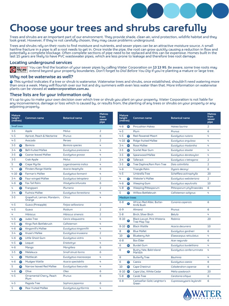 Select The Right Tree | PDF | Trees | Root