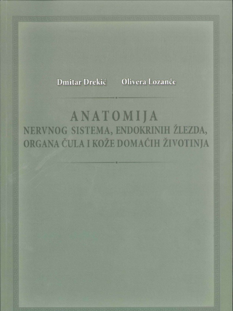 Anatomija Domacih Zivotinja Nervni Sistem Compressed | PDF