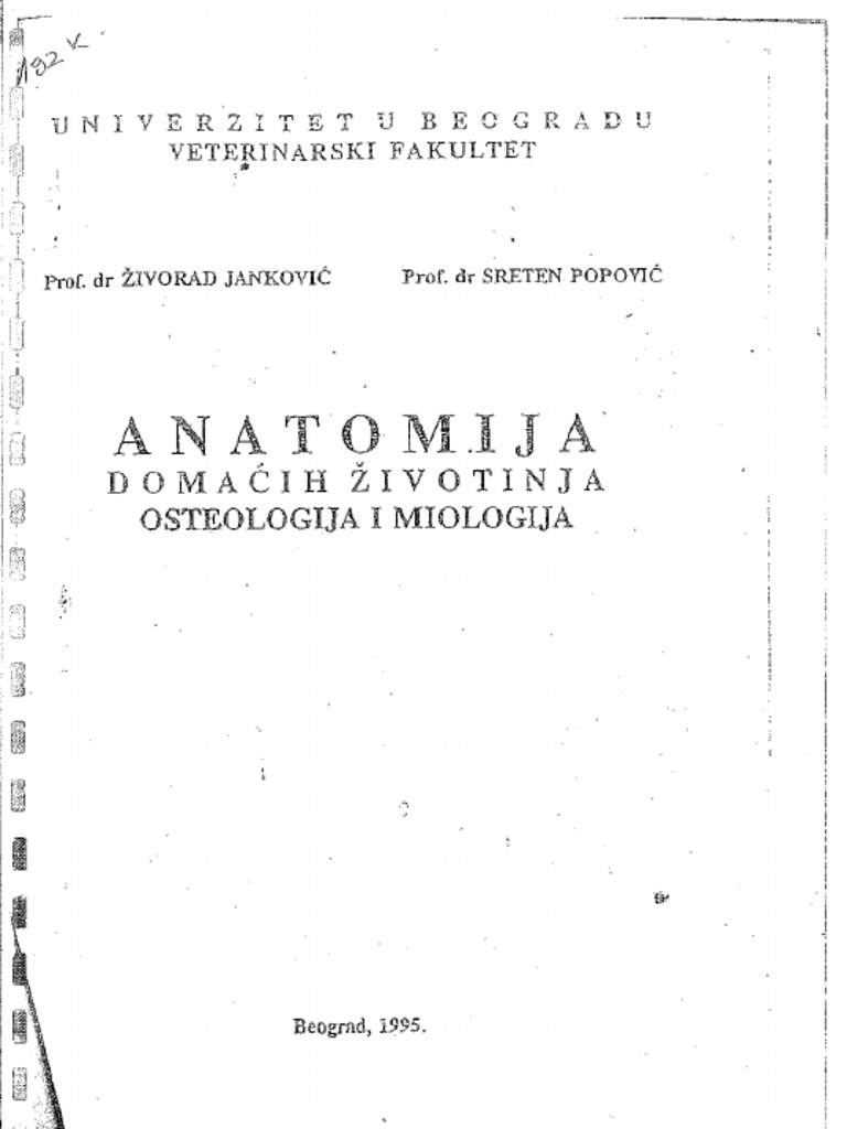 ANATOMIJA Domacih Zivotinja Osteologija I Miologija Compressed | PDF