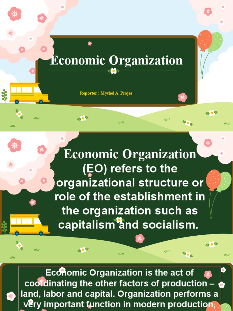 Types of Economic Organization Explained | PDF | Stocks | Dividend