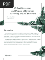 Voucher Specimens in Herbarium Preparation | PDF | Botany