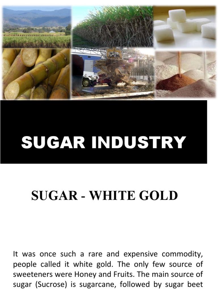 Sugar Production from Sugarcane Process | PDF | Sugarcane | Sugar