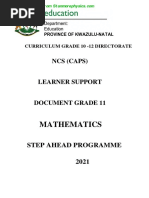 Surge and Logistic Functions Investigation | PDF | Derivative ...