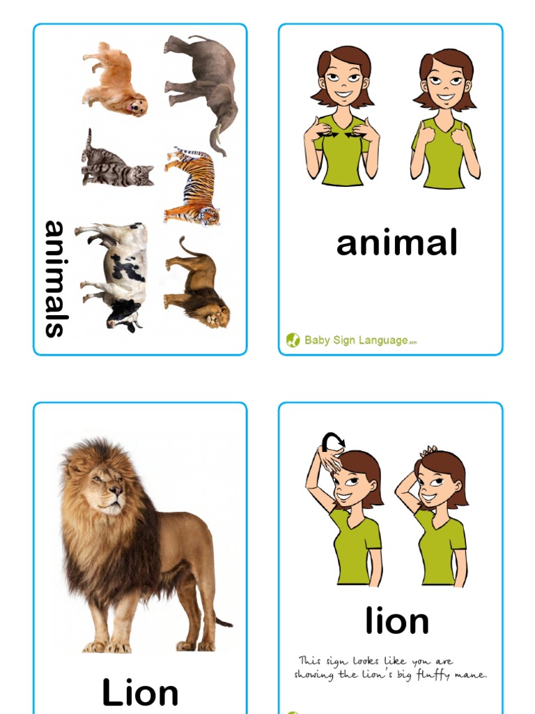 Baby Sign Language Cards ASL | PDF | Hippopotamus | Elephant