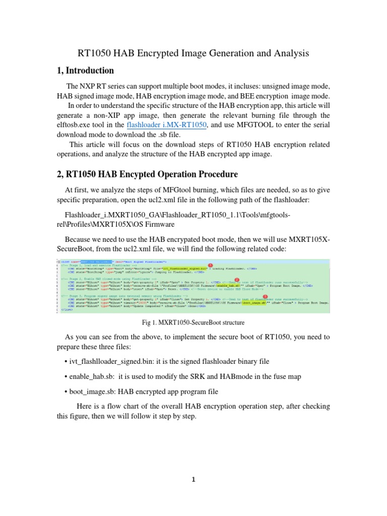 RT1050 HAB Encrypted Image Generation and Analysis | PDF | Computer File | Encryption
