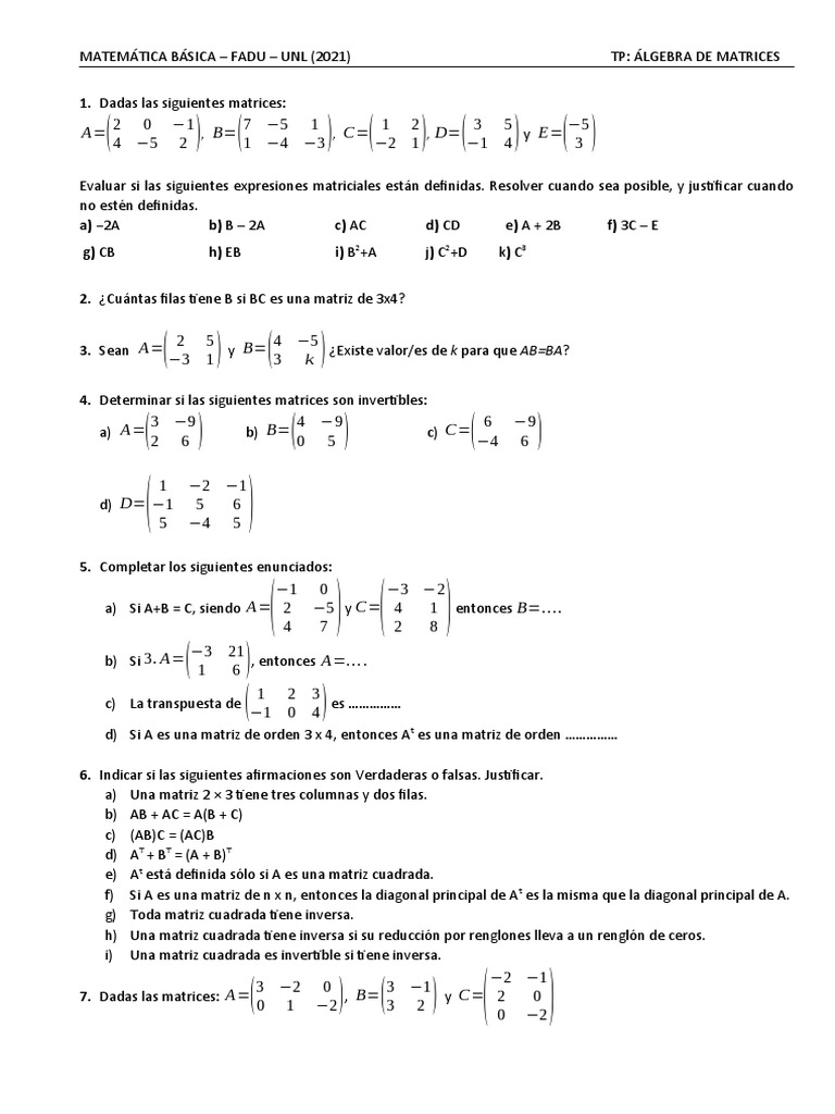 TP - Álgebra de Matrices | PDF | Matriz (Matemáticas) | Análisis matemático