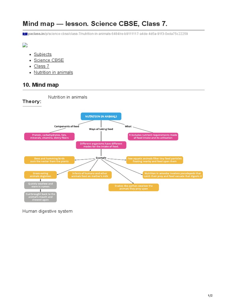 Yaclass - In-Mind Map Lesson Science CBSE Class 7 | PDF | Wellness ...