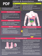 Adaptations of the Small Intestine for Absorption | PDF