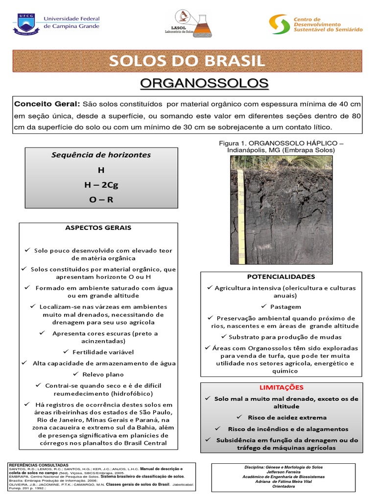 Organossolos Do Brail | PDF | Solo | Agricultura