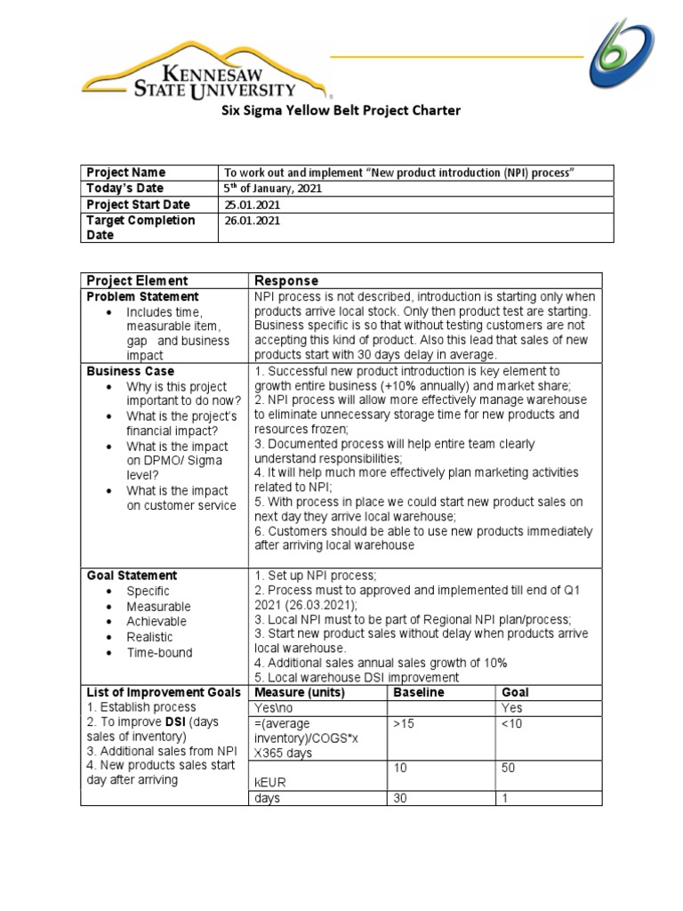 NPI Process Improvement Project | PDF | Six Sigma | Marketing