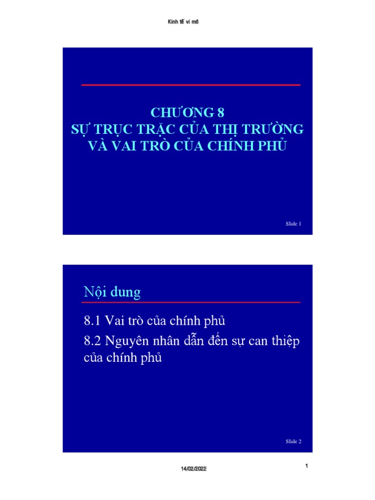 Chuong 8 Su Truc Trac Cua Thi Truong Va Vai Tro Cua Chinh Phu | PDF