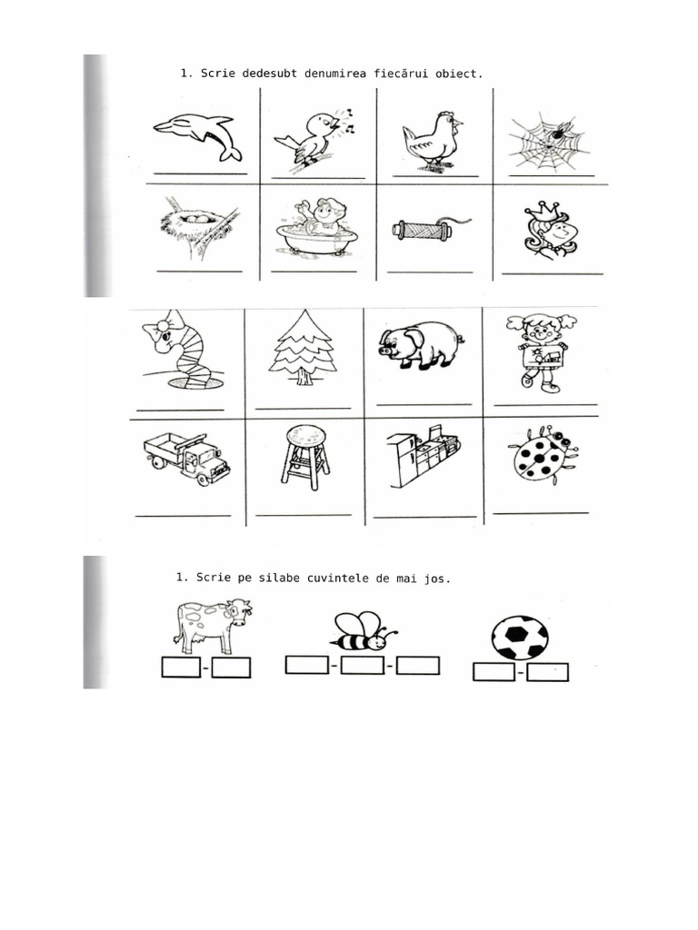 Fise Cuvinte Imagini | PDF