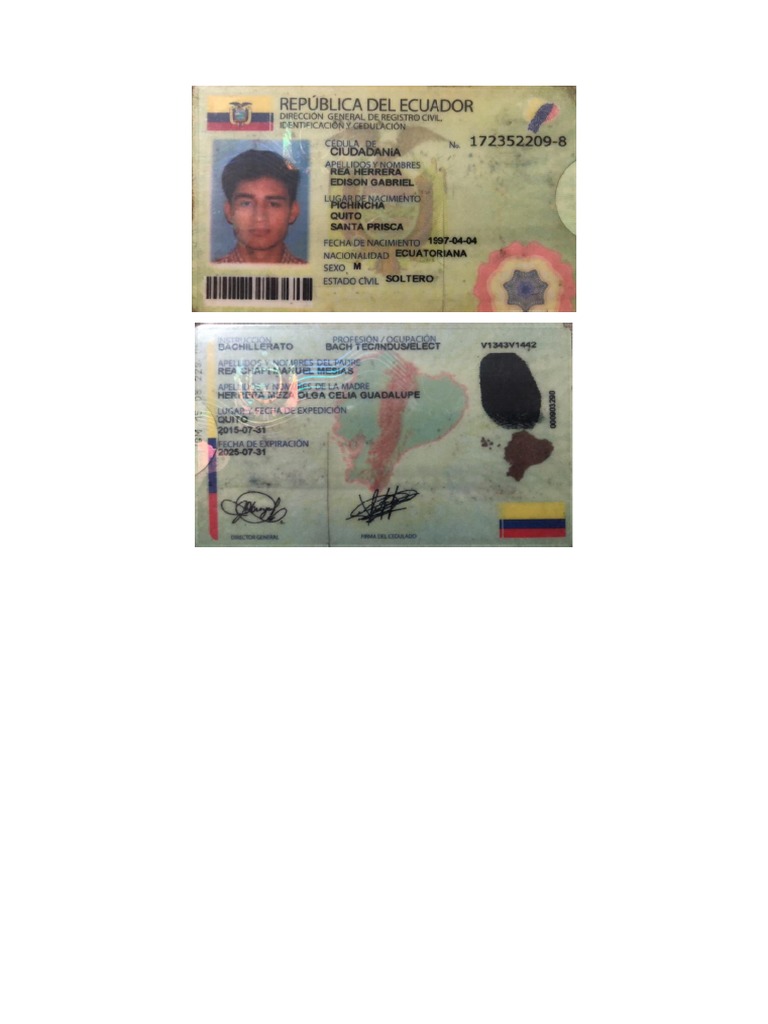 Edison Gabriel Rea Herrera | PDF | Ingenieria Eléctrica | Energia electrica