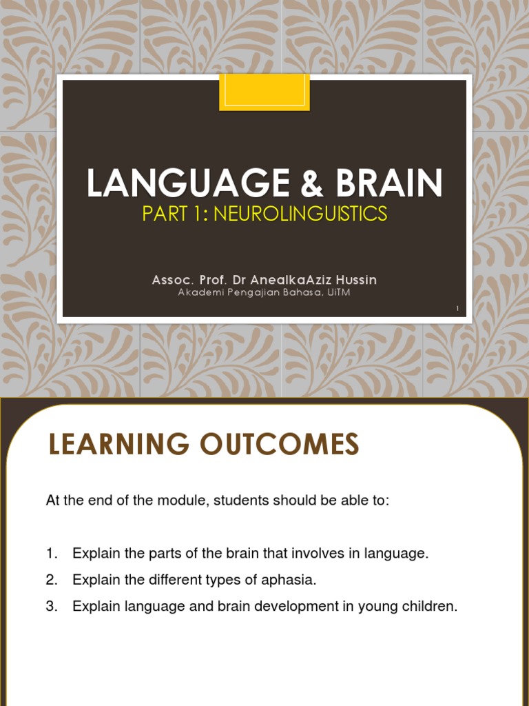 Language and Brain: Neurolinguistics Insights | PDF | Aphasia ...