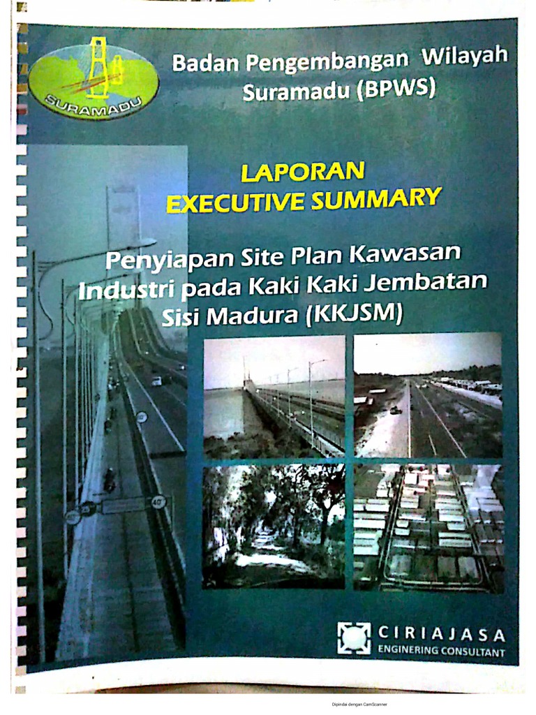 Executive Summary | PDF