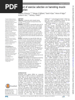 Askling Protocol | PDF | Physical Therapy | Knee
