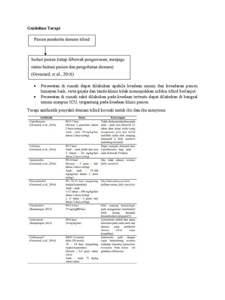 Guideline Terapi | PDF