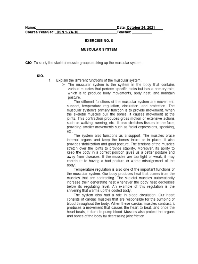 Muscle Labeling and Nomenclature Guide | PDF | Skeletal Muscle ...