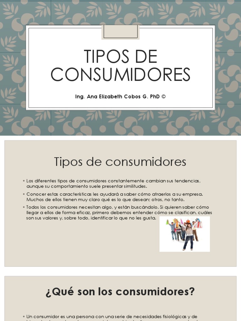 Tipos de Consumidores | PDF