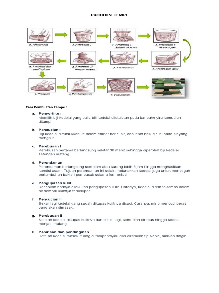 Produksi Tempe | PDF