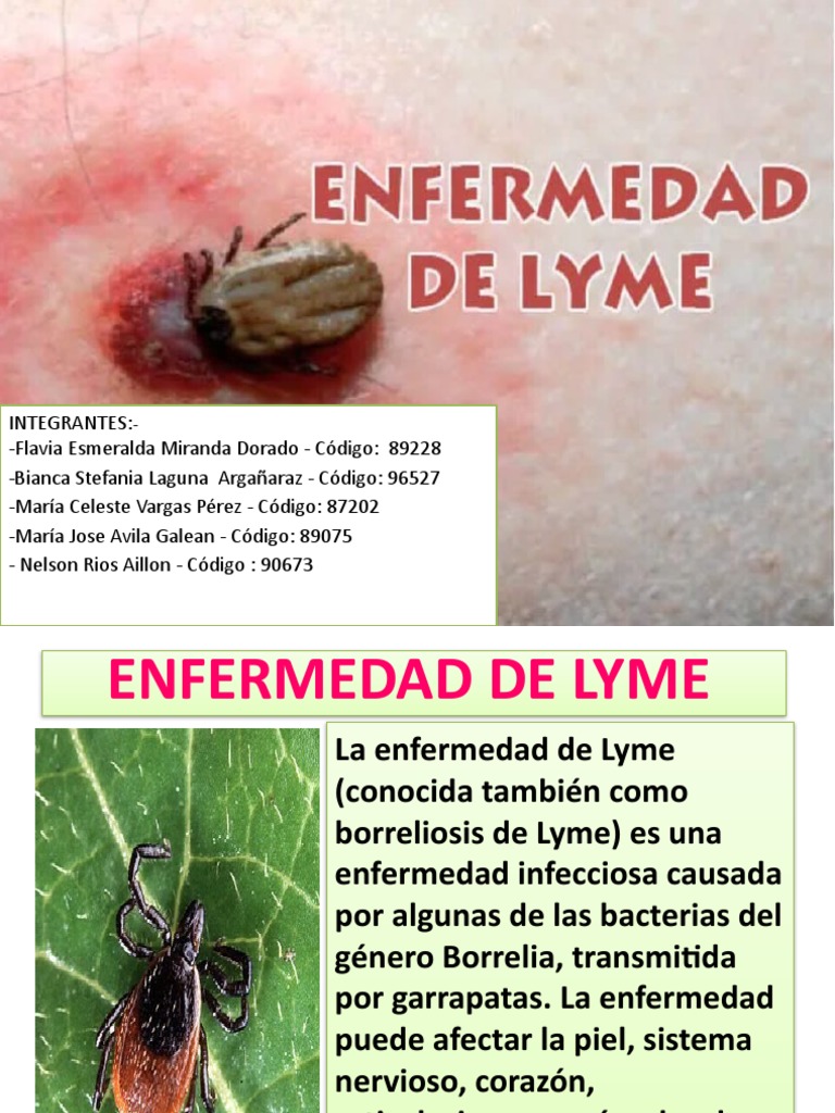Exposicion de Enfermedad de Lyme | PDF | Enfermedad de Lyme | Enfermedades y trastornos