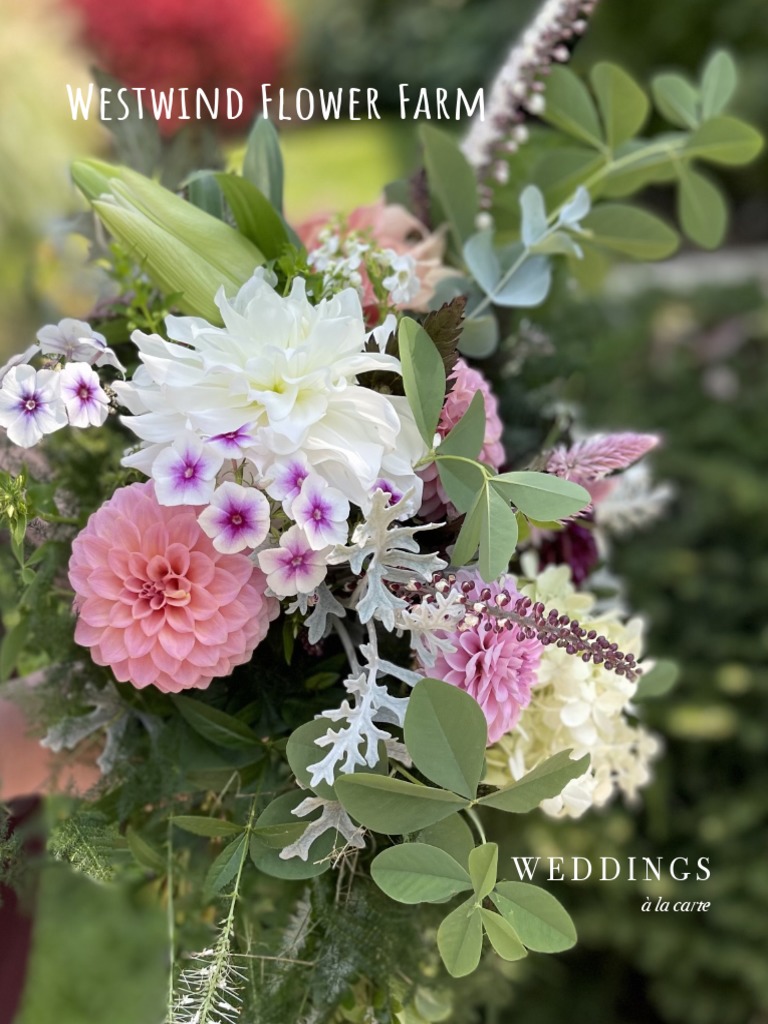 WWFF A La Carte Catalogue | PDF | Bridesmaid | Flower Bouquet