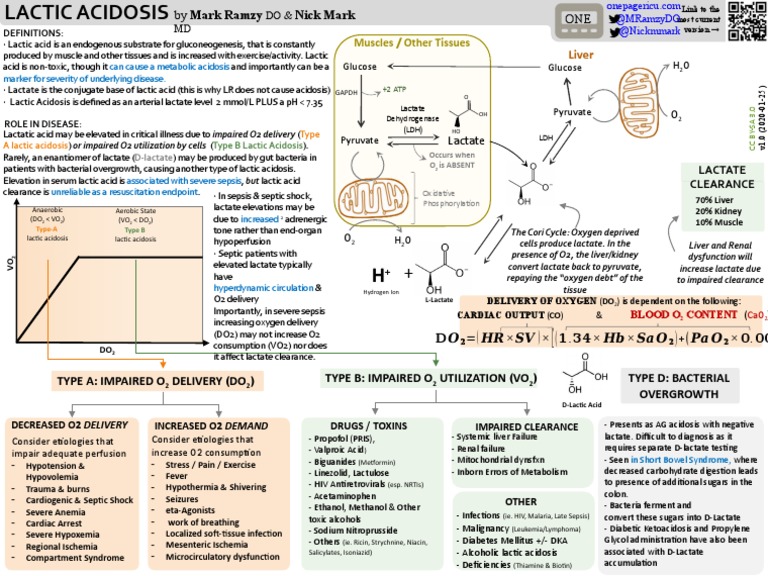 ICU Lactic Acidosis Guide | PDF | Lactic Acid | Lactate Dehydrogenase