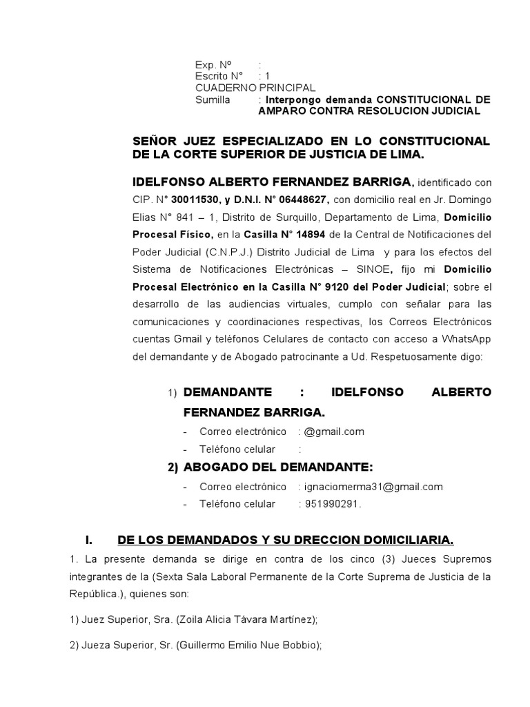 Demanda de Amparo - Idelfonso Alberto Fernandez Barriga | PDF | Debido ...