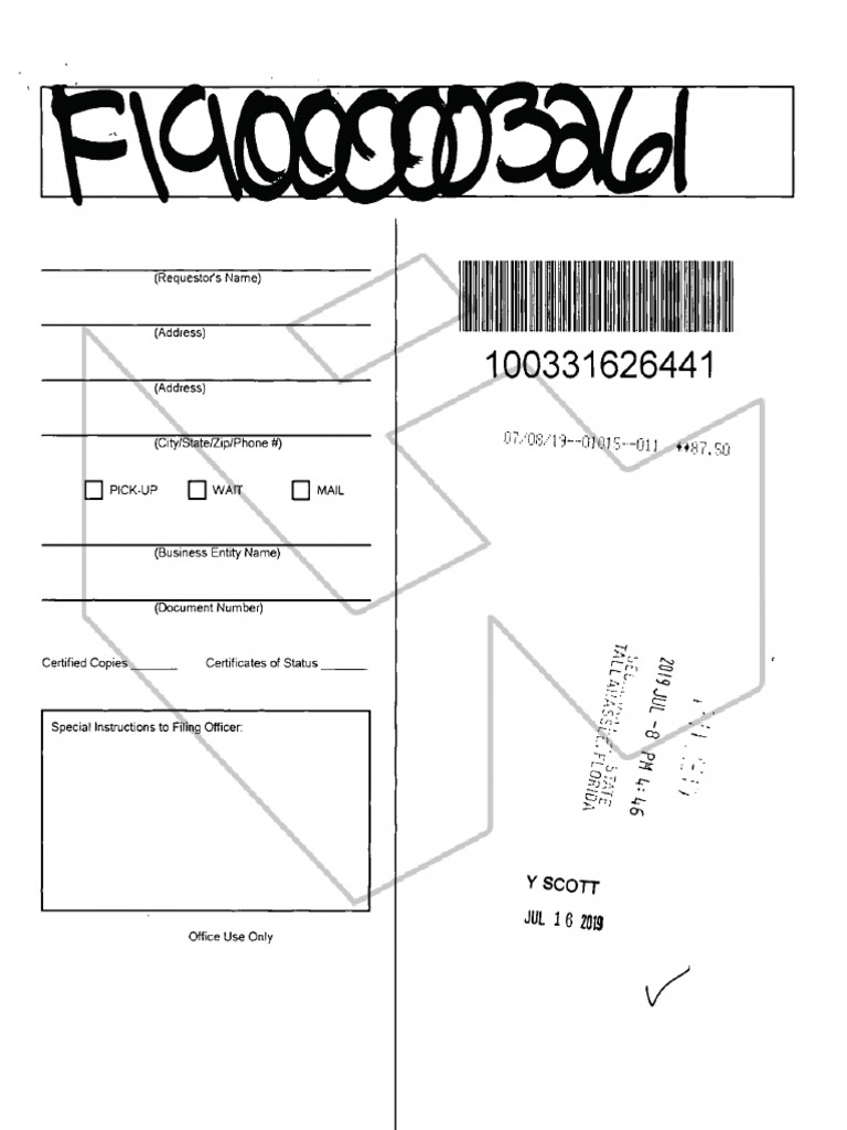 Documentos Constitutivos De GO Group Holdings INC PDF