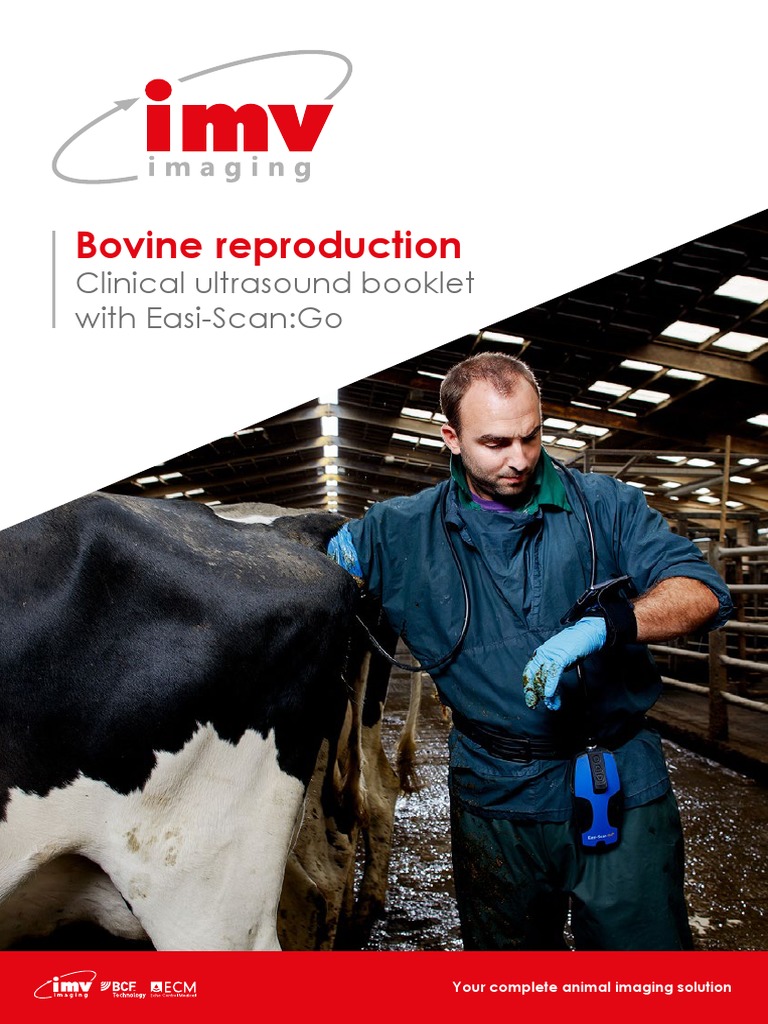 Bovine Reproductive Ultrasound Guide | PDF | Ovary | Pregnancy