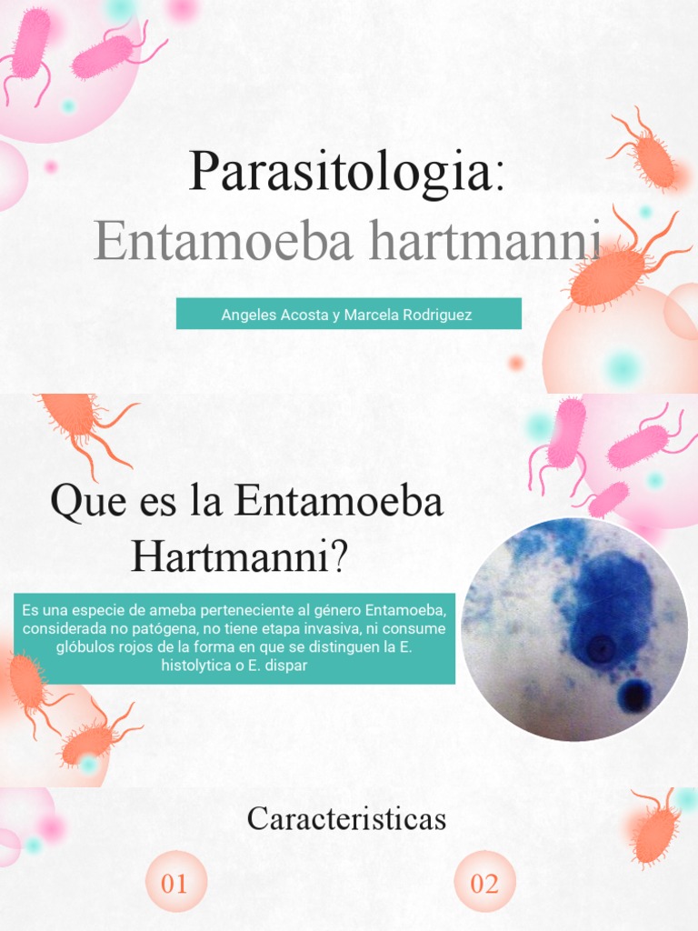 Entamoeba Hartmanni | PDF