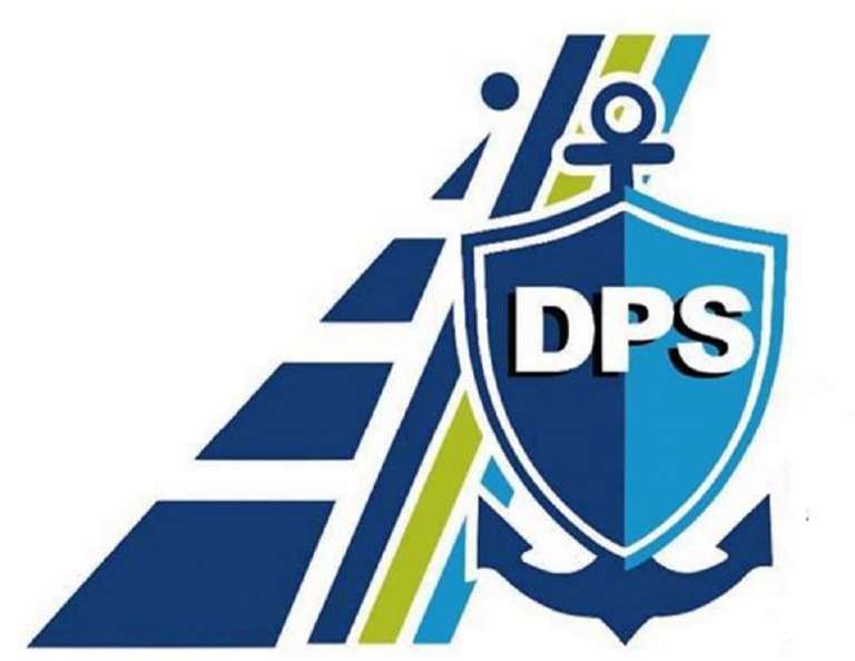 DPS | PDF