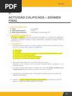 Vocabulario Quinto Grado | PDF