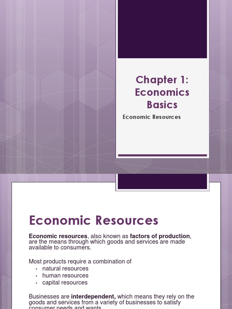 Chapter 1 - Economic Resources | PDF