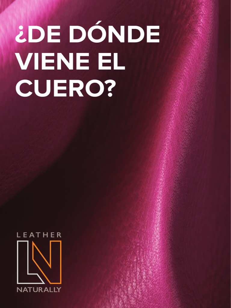 Cuero LN | Descargar gratis PDF | Cuero | Materiales