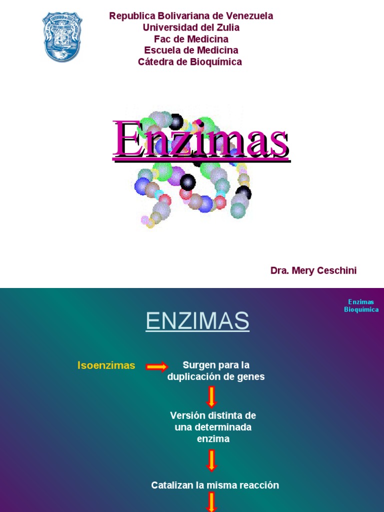 Enzimas 3 | PDF | Enzima | La cinética de enzimas