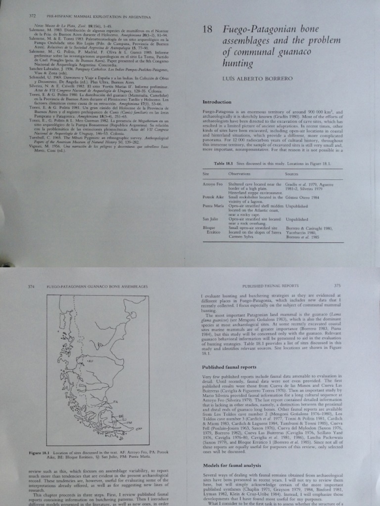 Borrero Fuego-Patagonian Bone Assemblages and Comunnal Guanaco Hunting ...
