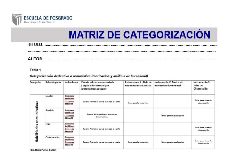 Matriz de Categorizaciòn | PDF