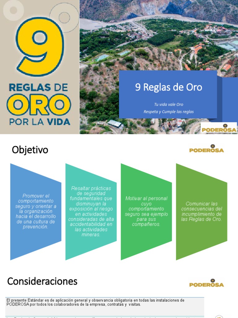 9 Reglas de Oro | Descargar gratis PDF | Drogas | Seguridad y salud ocupacional