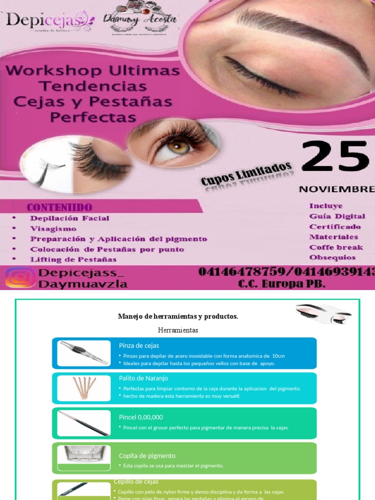 Workshop | PDF | Ceja | Pelo